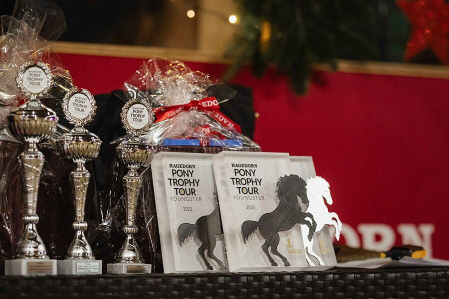 Finale der Pony Trophy Tour auf dem Winterfestival der Ponys - Pony ...