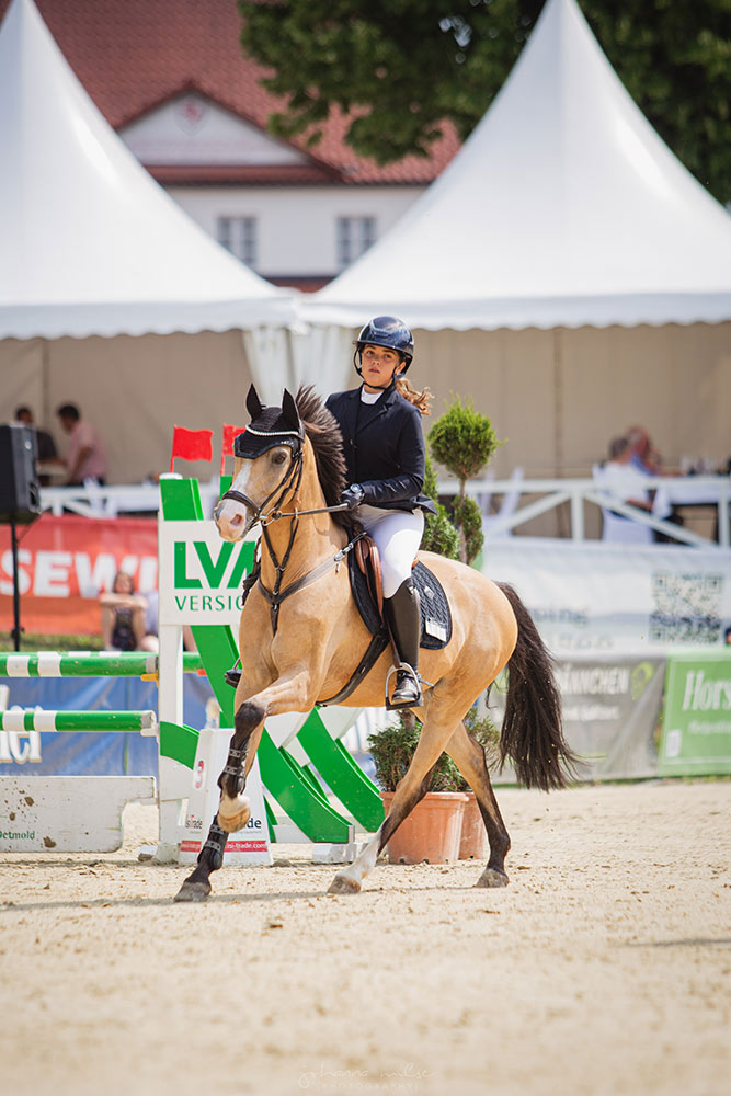 Home - Pony Trophy Tour